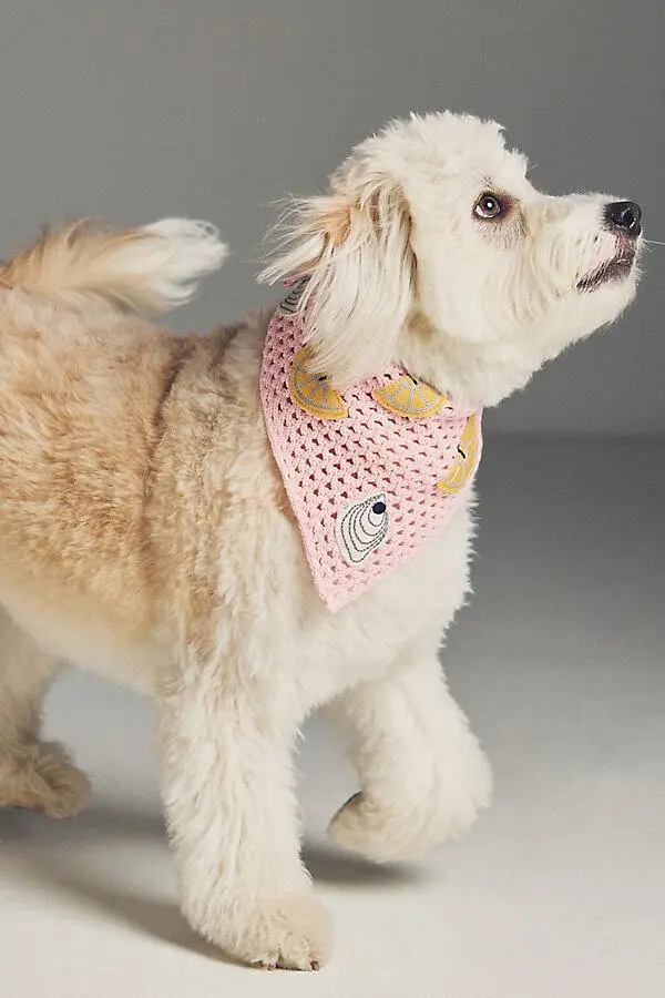 Anthropologie Crochet Pet Bandana - Pink