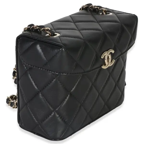 Chanel Quilted Lambskin Secret Box Bag