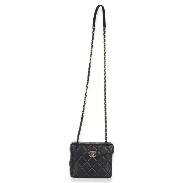 Chanel Quilted Lambskin Secret Box Bag