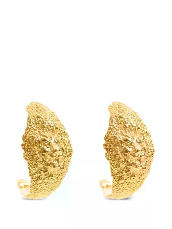 FREYA ROSE Lion Hoops Textured Earrings - Gold