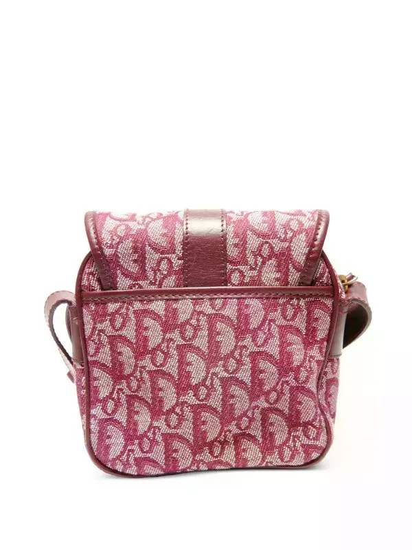 Dior 2013 Trotter Shoulder Bag