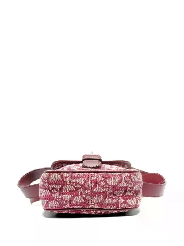 Dior 2013 Trotter Shoulder Bag