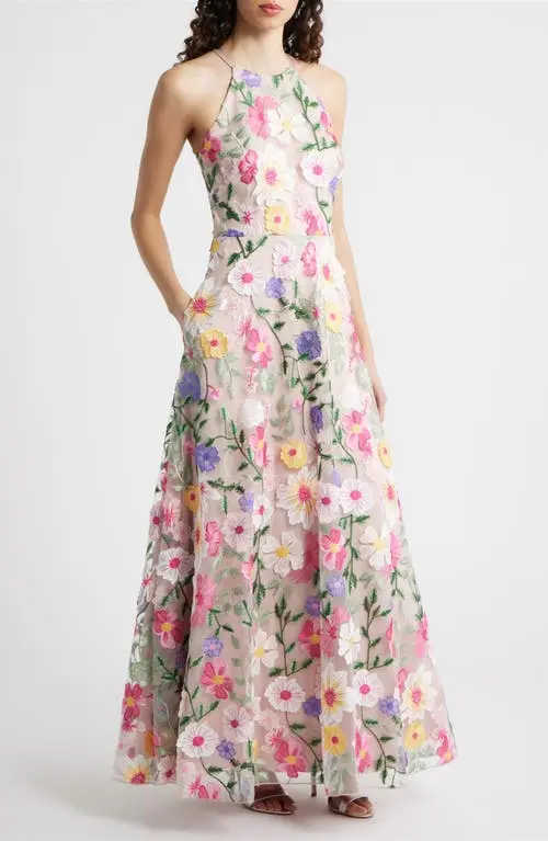 Eliza J Embroidered Sleeveless Gown - Blush Multi