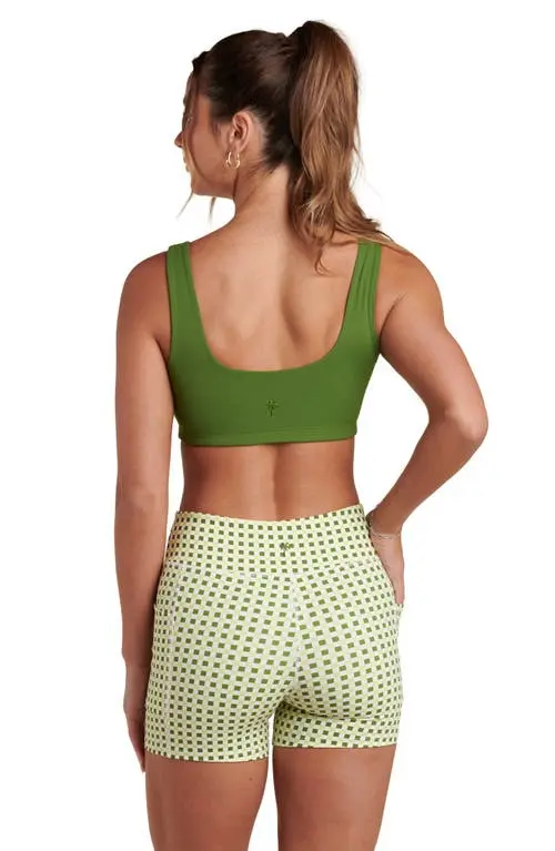 La Blanca Sports Bra - Turf