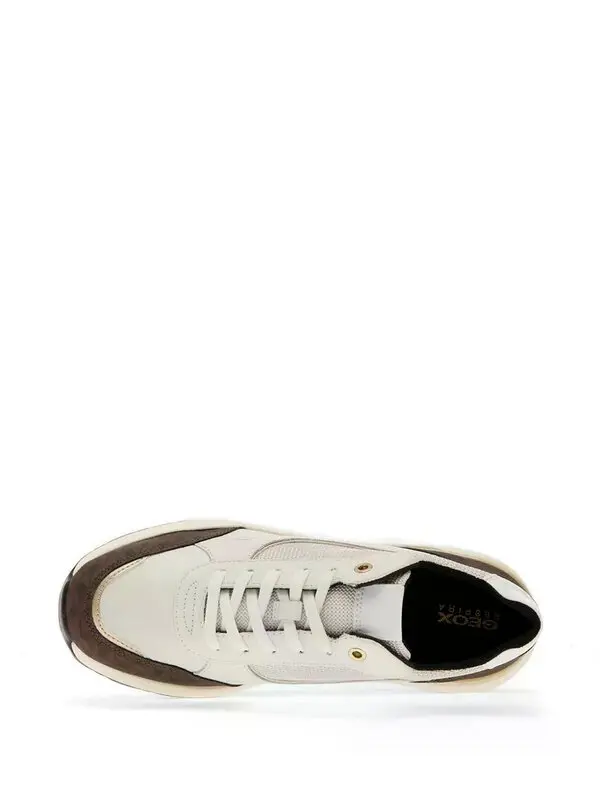 Geox Spherica Mesh Panel Sneakers