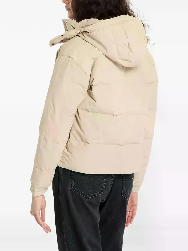 Patagonia Padded Hooded Jacket