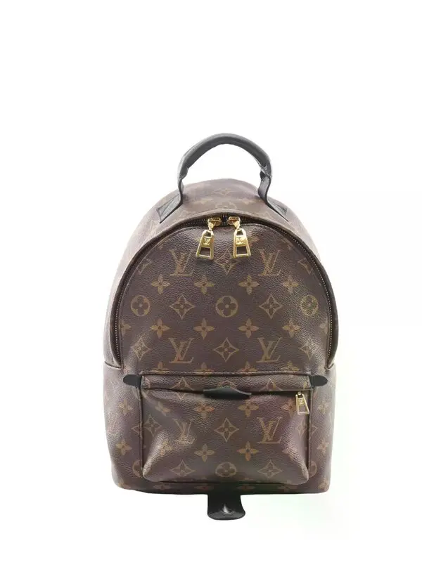 LOUIS VUITTON 2018 Monogram Palm Springs Pm Backpack - Brown