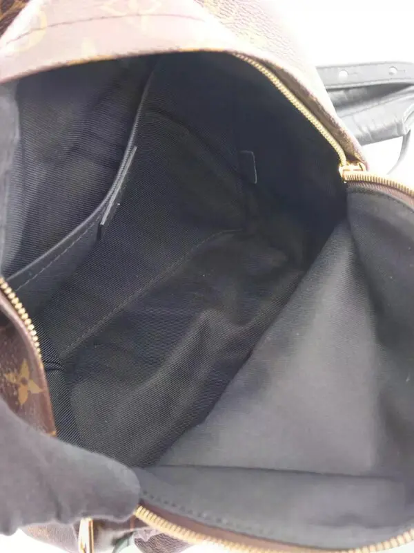 LOUIS VUITTON 2018 Monogram Palm Springs Pm Backpack - Brown