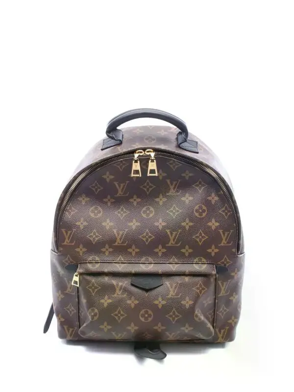 LOUIS VUITTON 2018 Monogram Palm Springs Mm Backpack - Brown