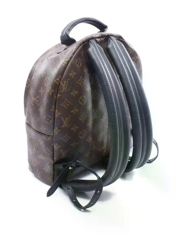 LOUIS VUITTON 2018 Monogram Palm Springs Mm Backpack - Brown