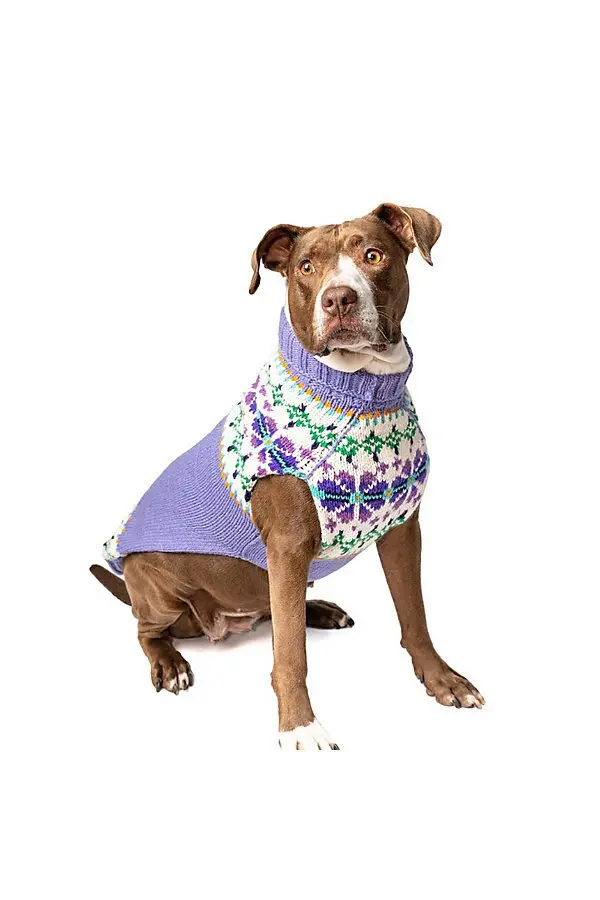 CHILLY DOG Lavender Flowers Dog Sweater - White