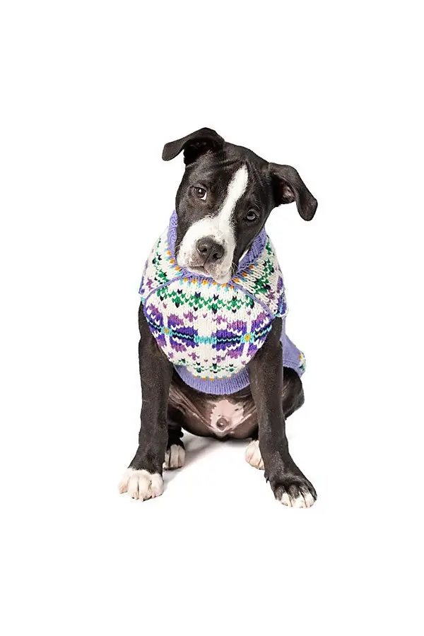 CHILLY DOG Lavender Flowers Dog Sweater