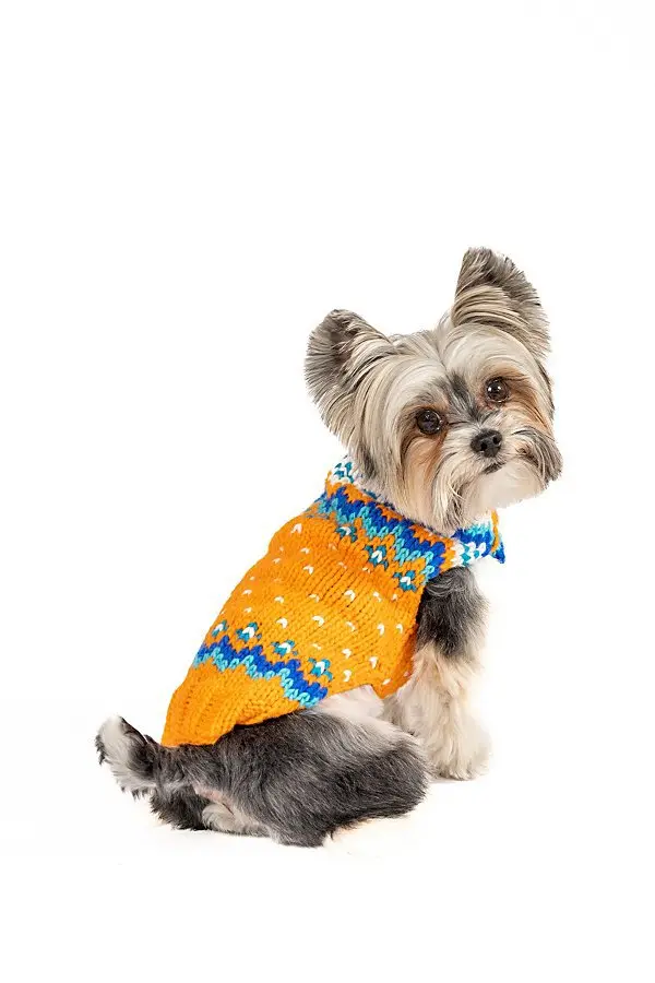 CHILLY DOG Artic Amber Fair Isle Dog Sweater