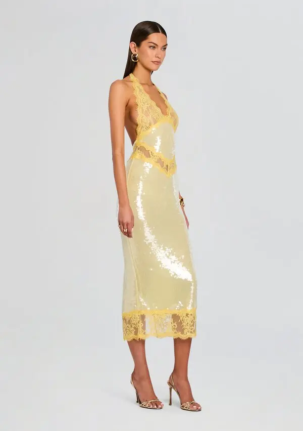 Retrofete Sequin Lace Midi Dress