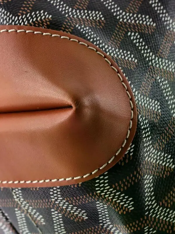 Goyard Bellechasse Bag Coated Canvas Pm Tote Bag