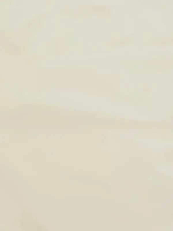 Alberta Ferretti Twill-weave Scarf - Neutrals