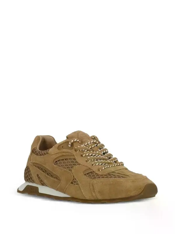 Ash Karsanet Suede Sneakers