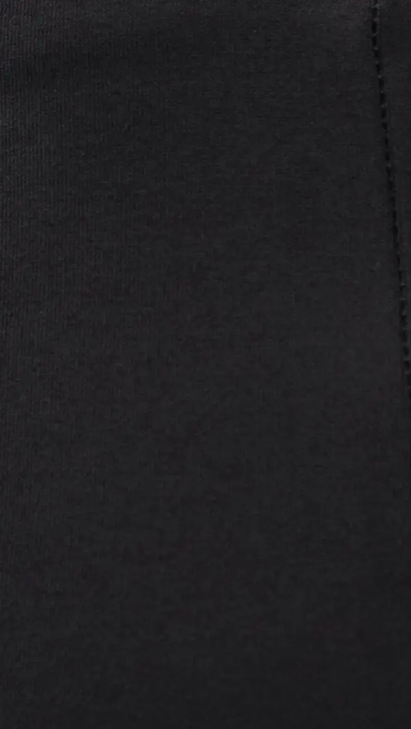 Joe's Jeans The Marie Capri Pants