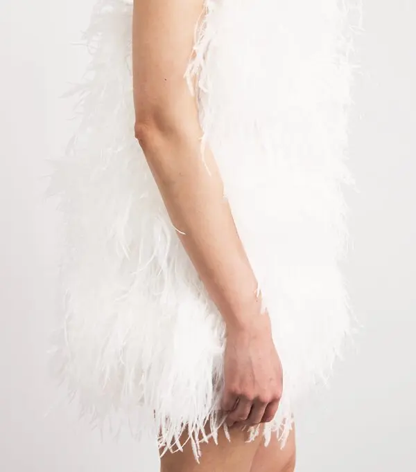 Oseree Feathered Mini Dress