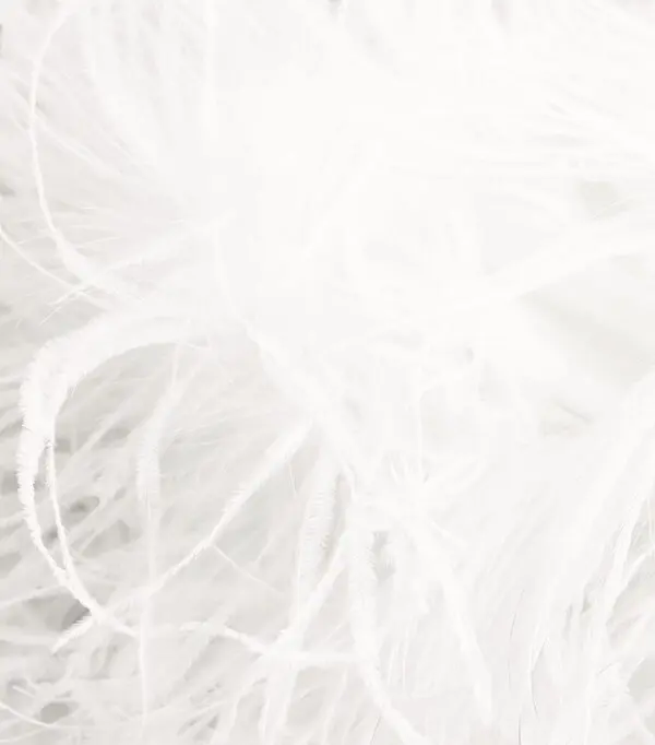 Oseree Feathered Mini Dress - Ivory