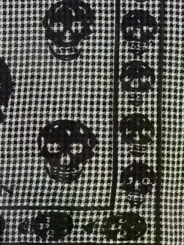 Alexander McQueen Skull-print Scarf