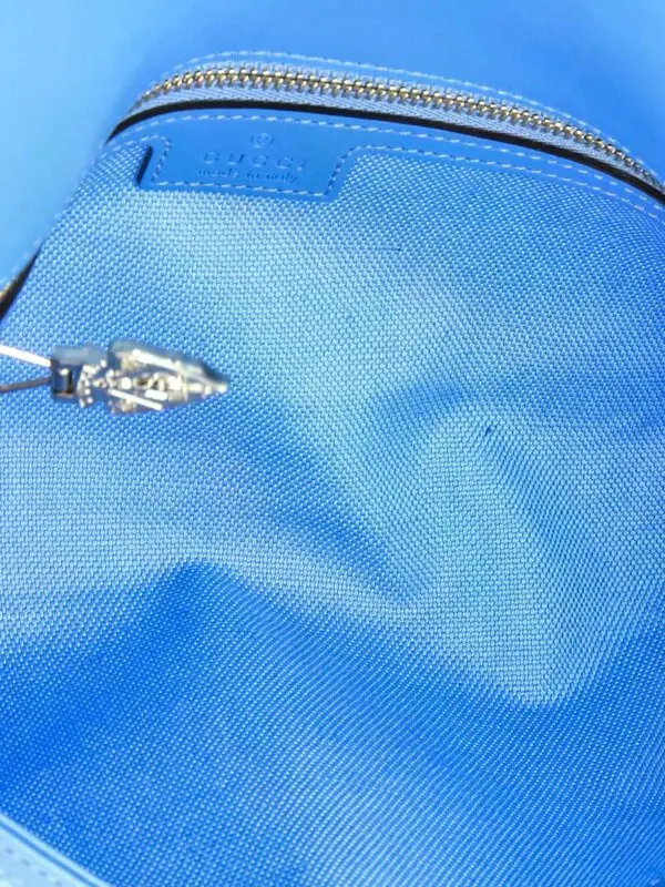 Gucci Luce Canvas Small Shoulder Bag