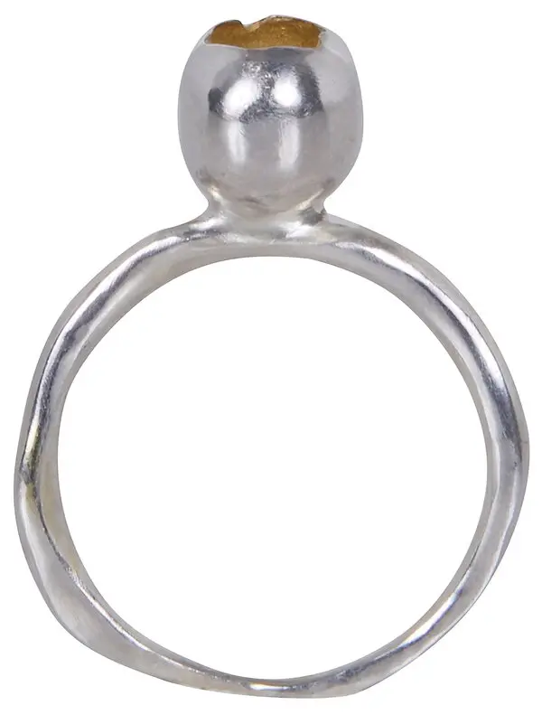 ROSA MARIA Minoo 2 S S Gy Yellow Gold Ring - Metallic