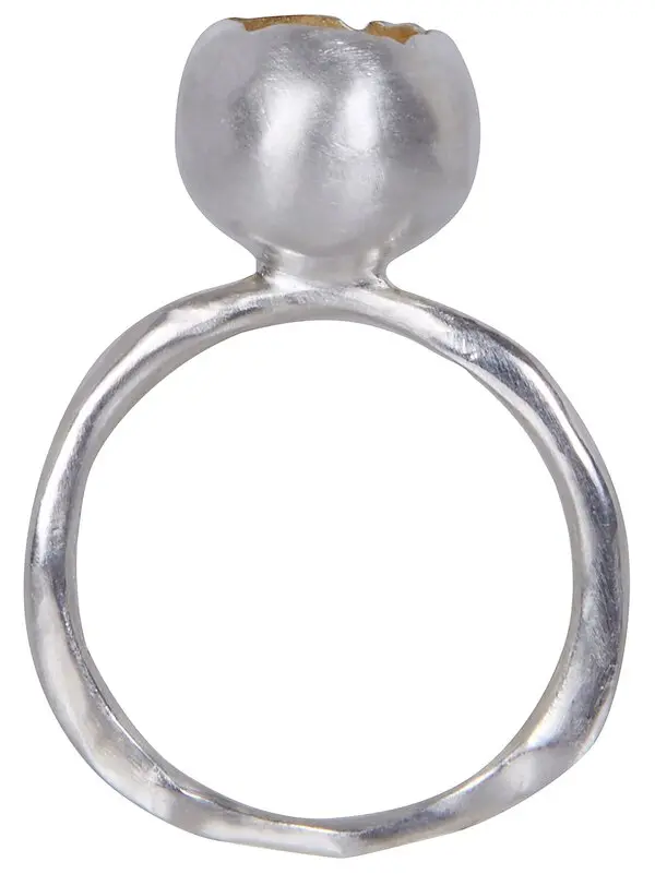 ROSA MARIA Yellow Gold Plated Ring - Metallic