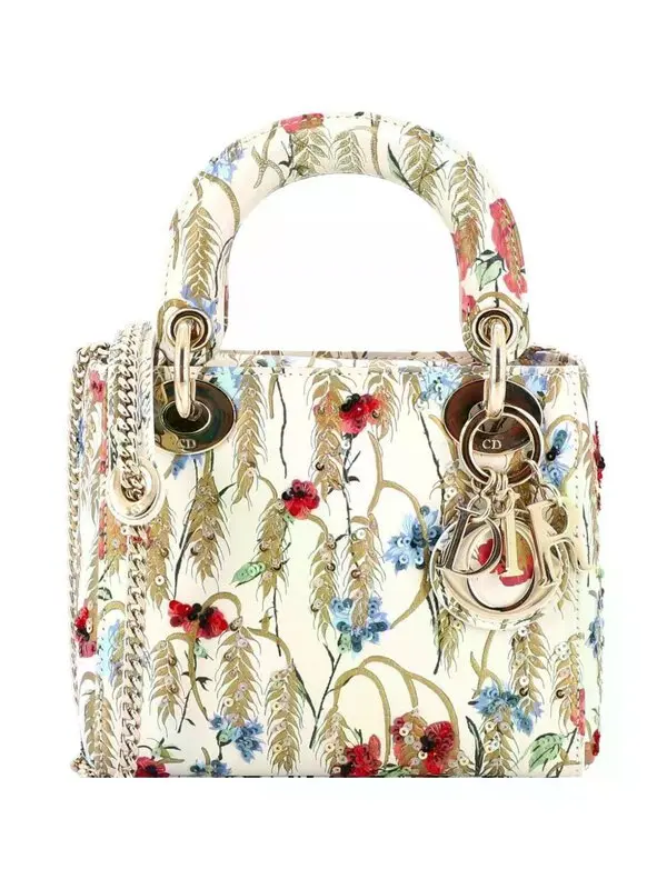 Dior Lady Chain Bag Embroidered Printed Calfskin Mini Satchel - Multicolour