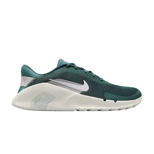 Nike Flex Train Sneakers