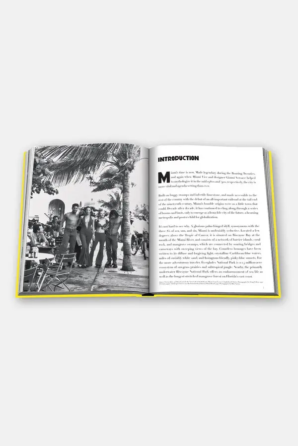 Assouline Miami Beach - Giallo