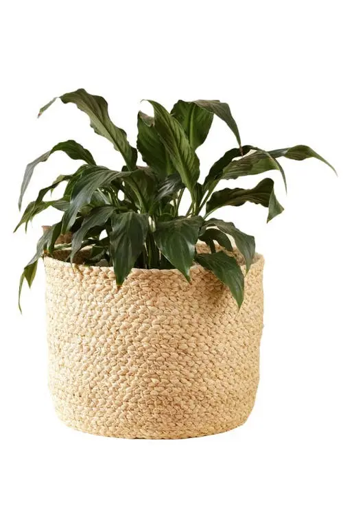 INDEGO AFRICA Braided Raffia Planter - Natural
