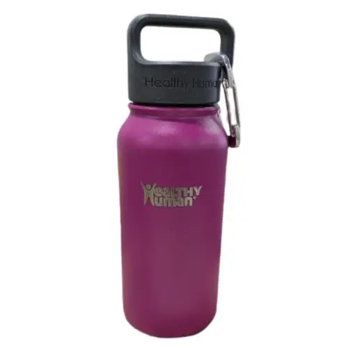 HEALTHY HUMAN The Stein Water Bottle 16 Oz - Mulberry
