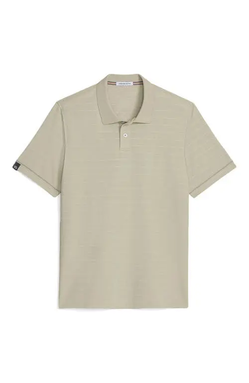 ASHWORTH GOLF Henry Polo - Moss