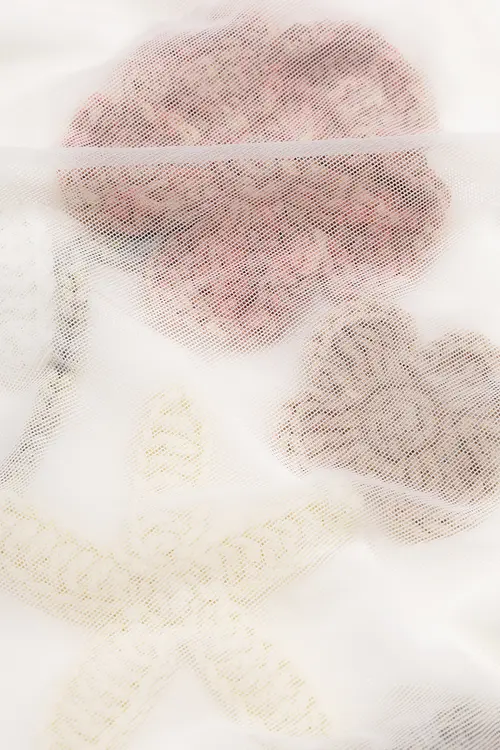 MALVA FLOREA Sheer Mesh Bodysuit With 3d Florals