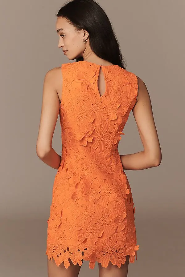 endless rose lace dress Endless Rose