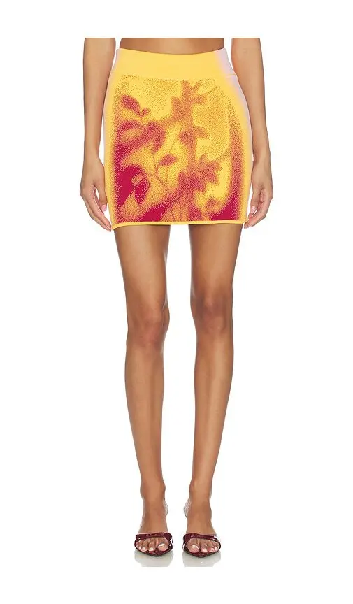 Ph5 Alani Window Print Mini Skirt - Orange