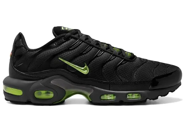 Nike Air Max Plus Sneakers