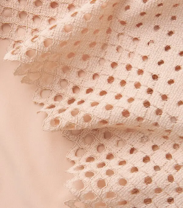 Wolford Romantic Net Briefs