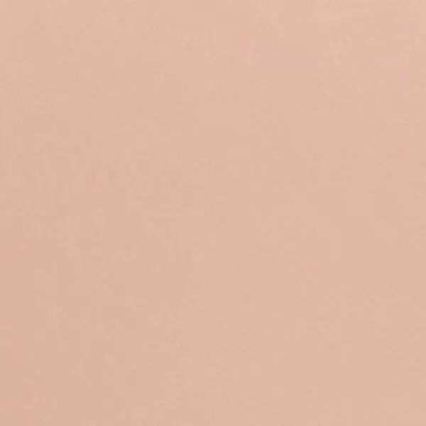 Wolford Romantic Net Briefs