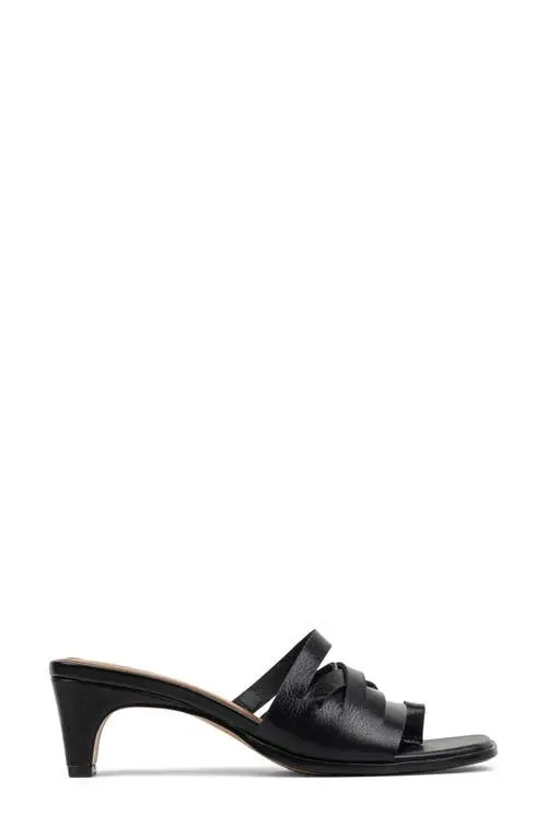 DONALD PLINER Dayvi Toe Loop Sandal - Black