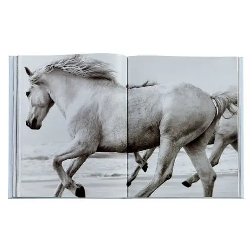 GRAPHIC IMAGE Untamed Spirits Horses From Around The World Leather Edition