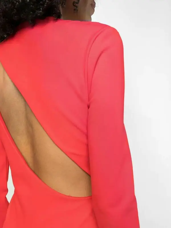 Alexander McQueen Cut-out Detail Long-sleeved Gown