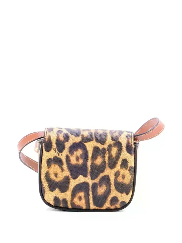 Celine Claude Printed Coated Canvas Mini Bag - Multicolour