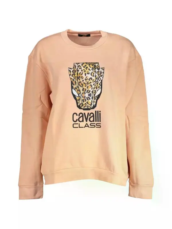 Roberto Cavalli Leopard-print Sweater