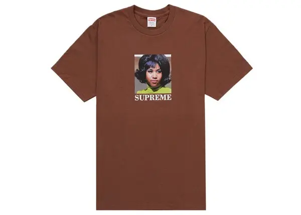 Supreme Aretha Tee Shirt - Brown