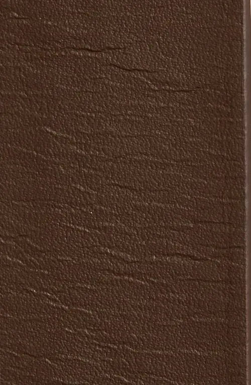 Vince Kaia Leather Belt - Date