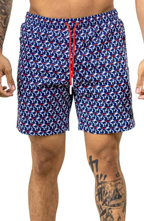 MACEOO Printed Swim Trunks - Blue