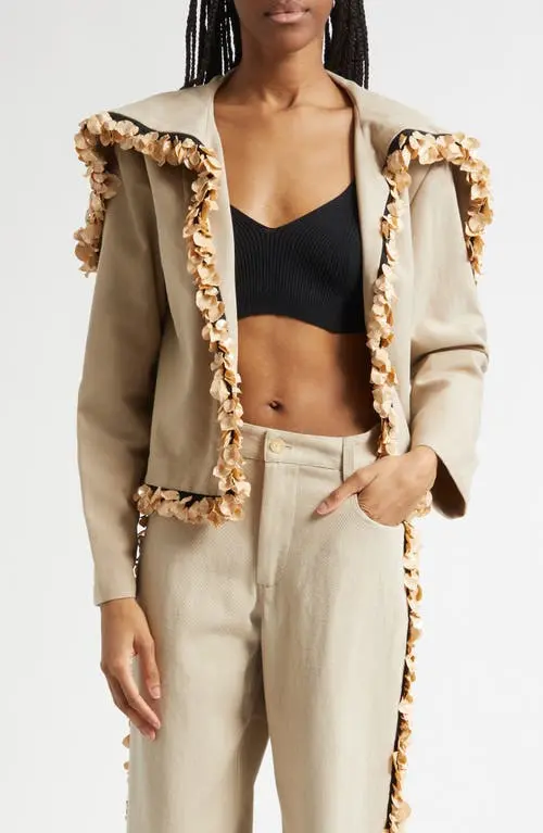 DIOTIMA Cropped Band Jacket - Khaki