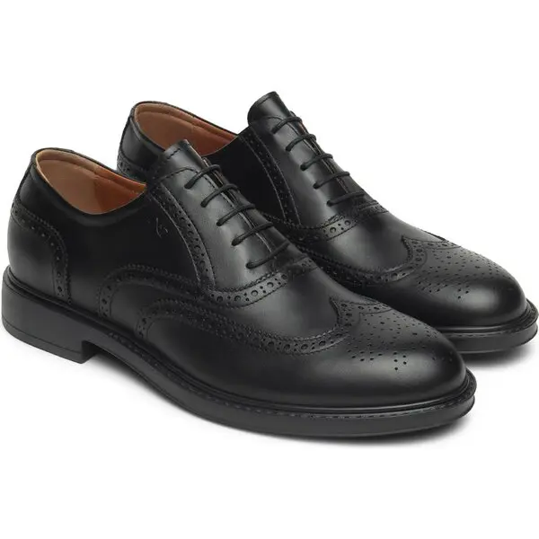 NEROGIARDINI Wingtip Oxford - Black